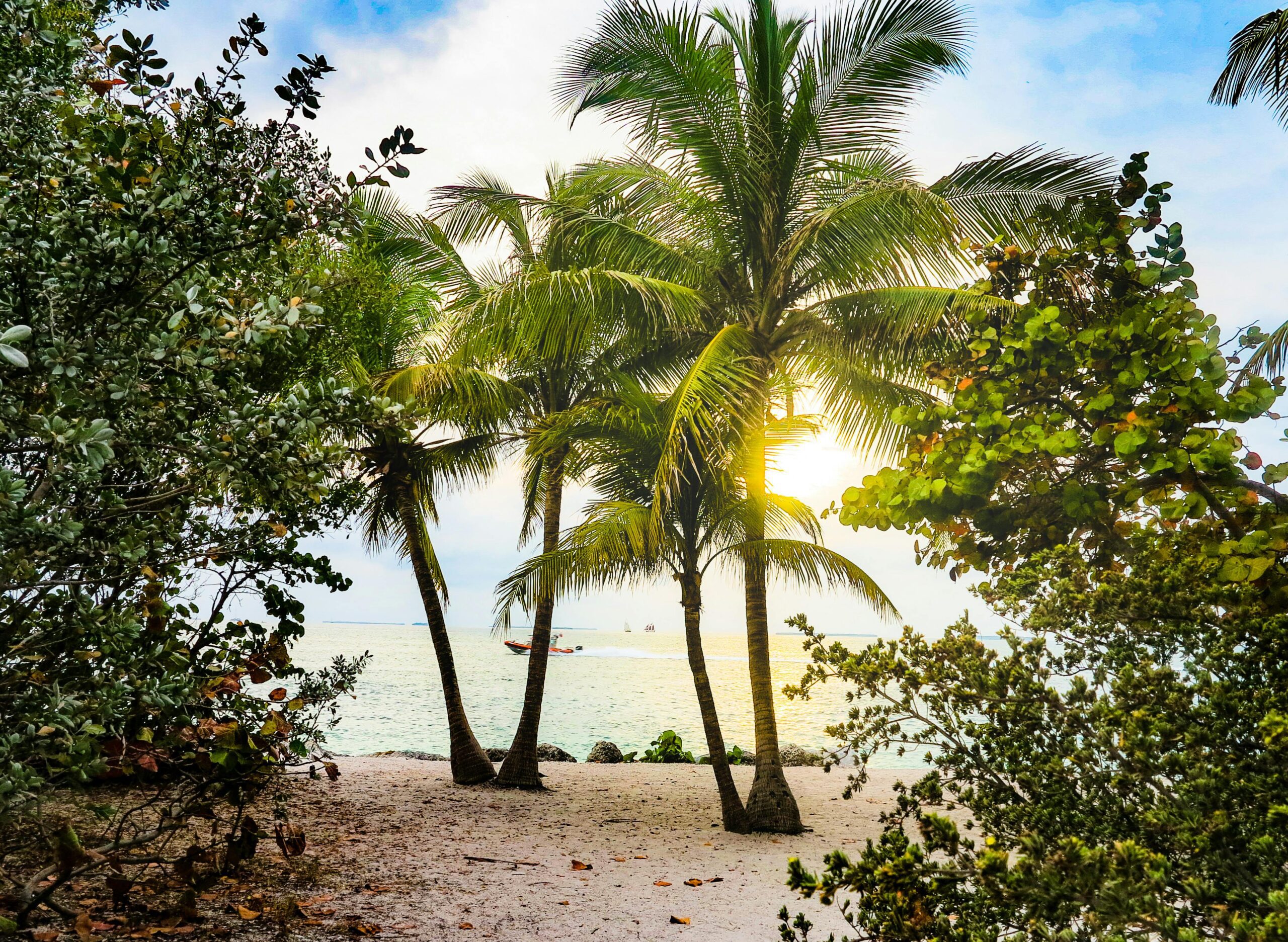 Top 8 Most Beautiful Beaches in Florida You Need to Visit - The Cubicle ...