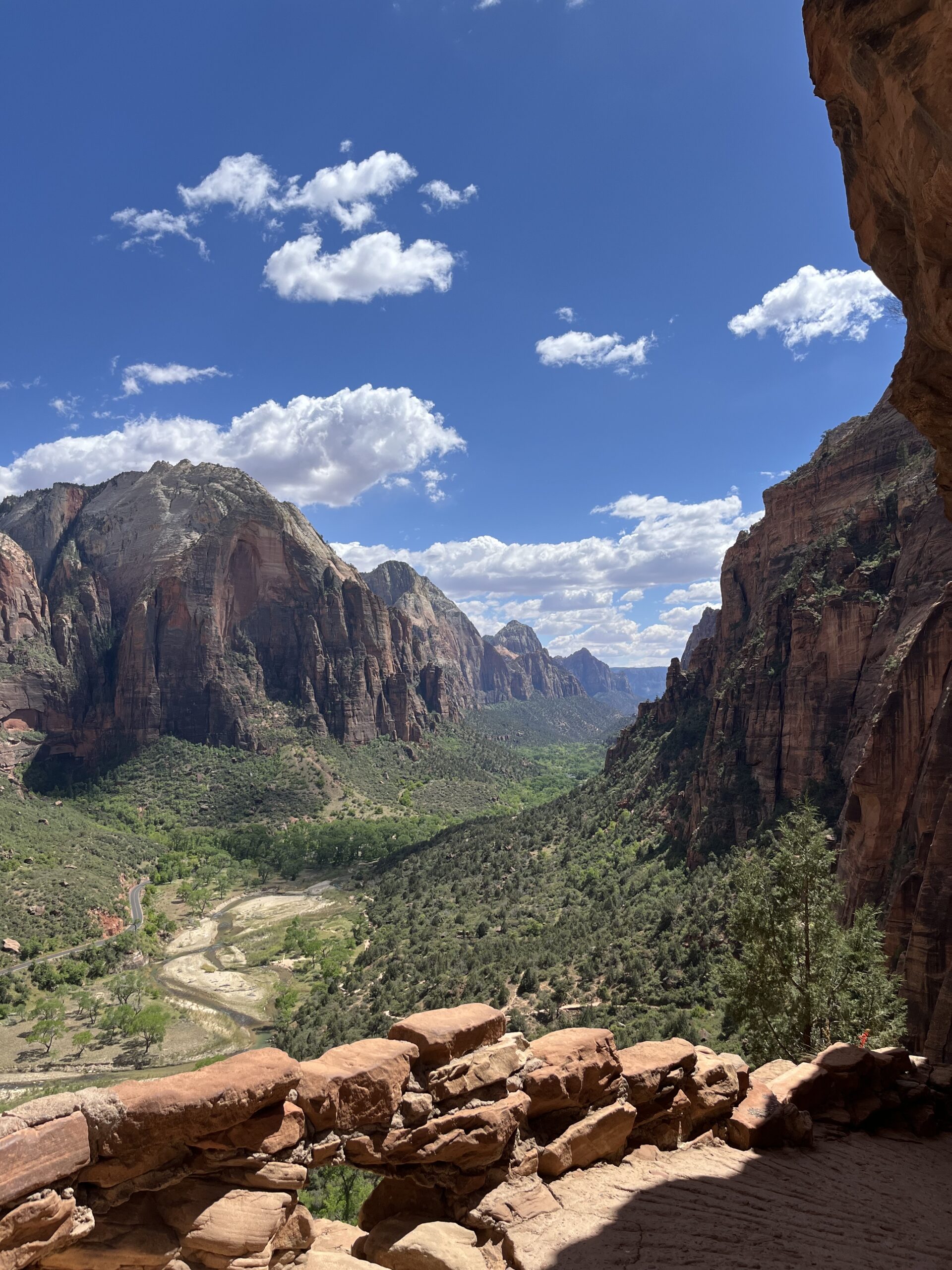The Best Zion Travel Guide for First-Time Visitors - The Cubicle Explorer
